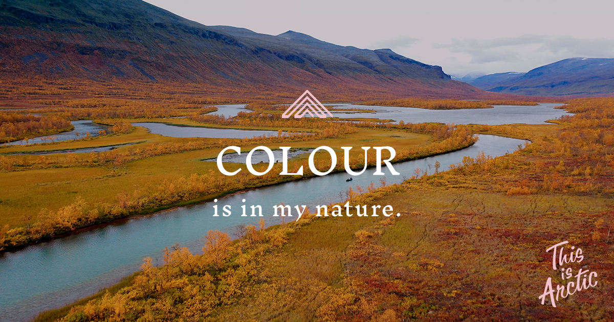 COLOUR - This is Arctic